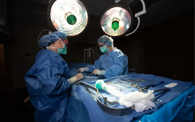 Health Professions Programs | Elgin Community College (ECC)