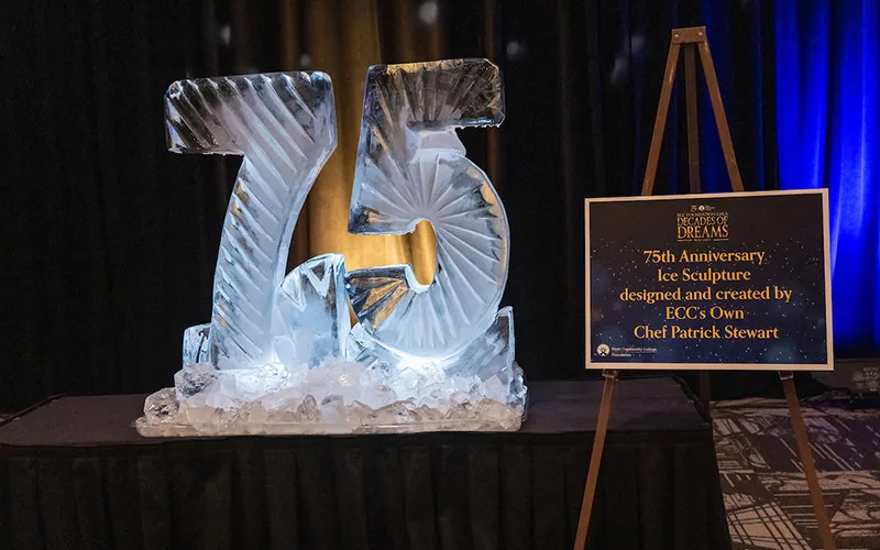 patrick stewart elgin