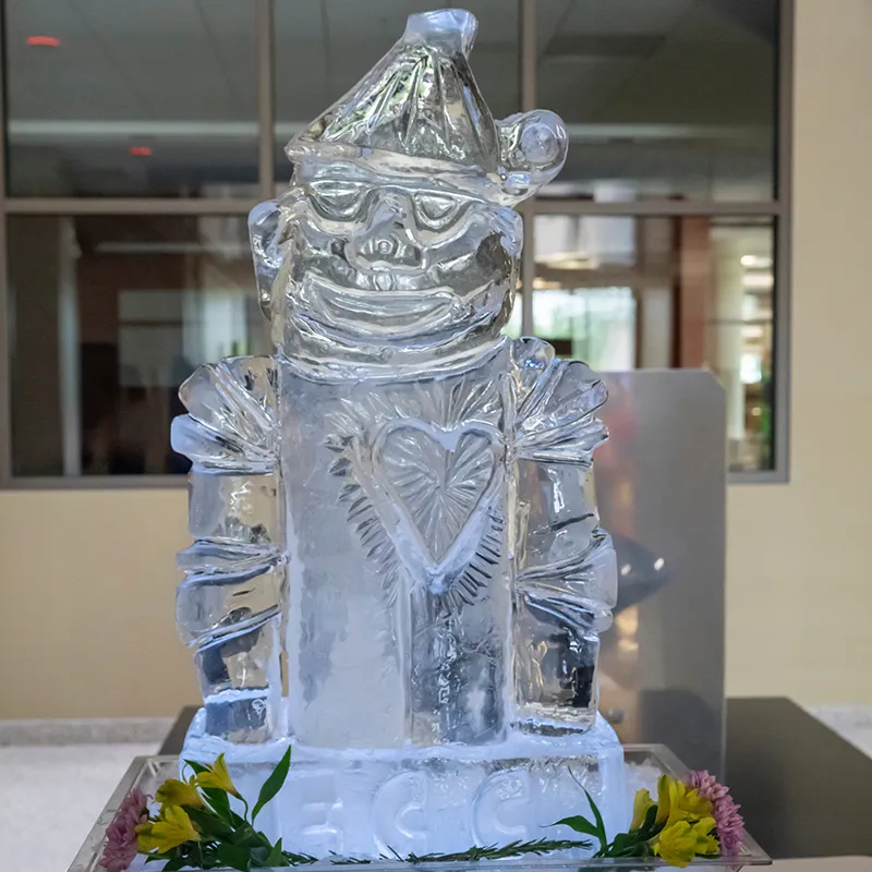 patrick stewart elgin